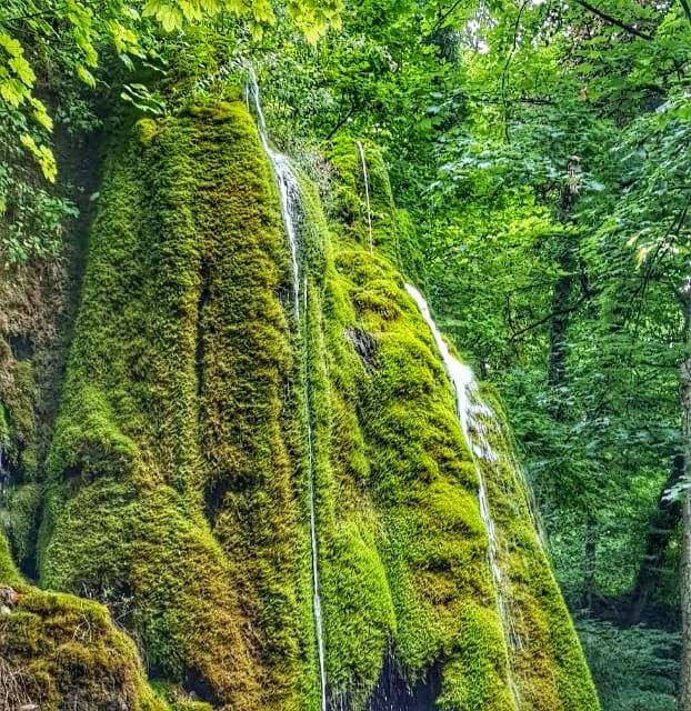 7-Day Discover Baku, Sheki, and Qakh Tour - Guided Azerbaijan Travel & DMC